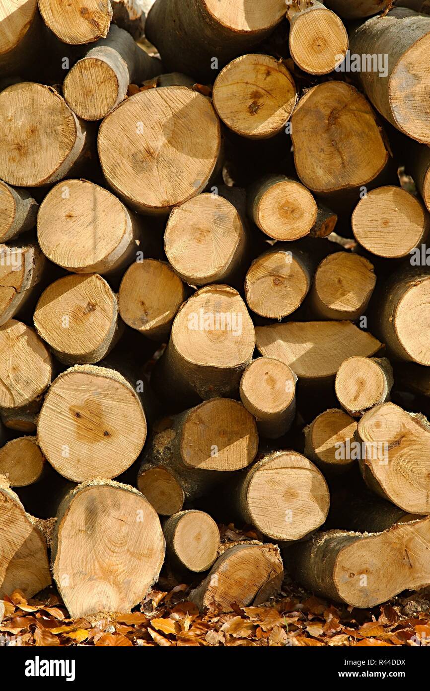 Large logpile hi-res stock photography and images - Alamy