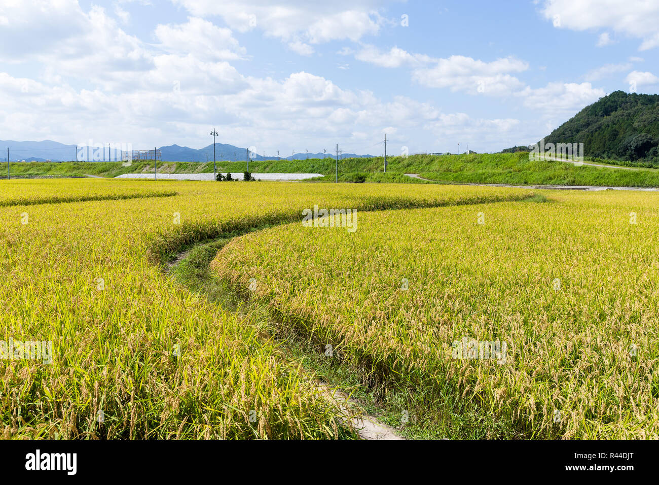 Via ripe hi-res stock photography and images - Alamy