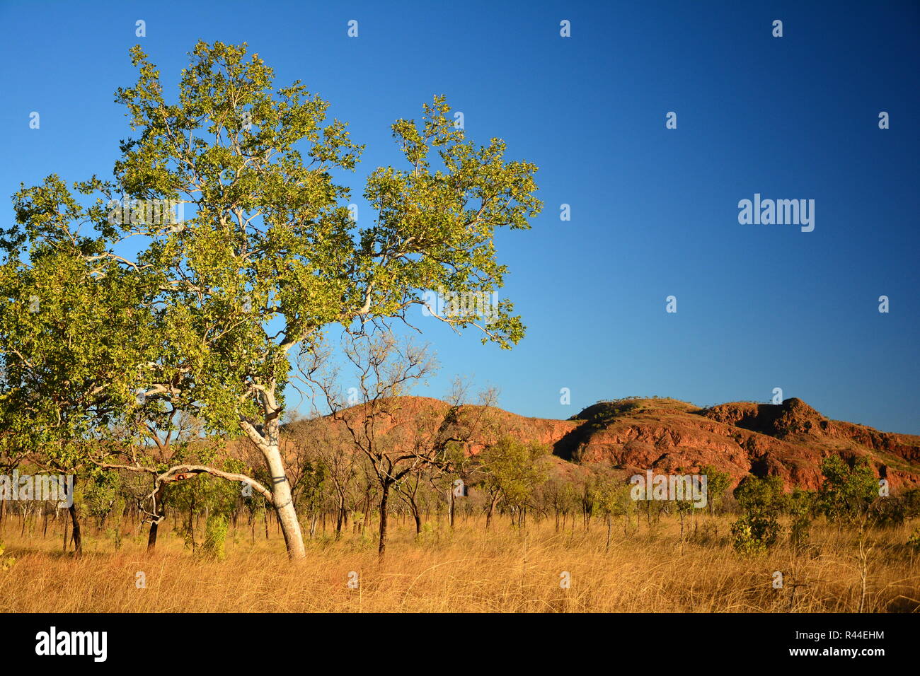 Kimberley road trip hi-res stock photography and images - Alamy
