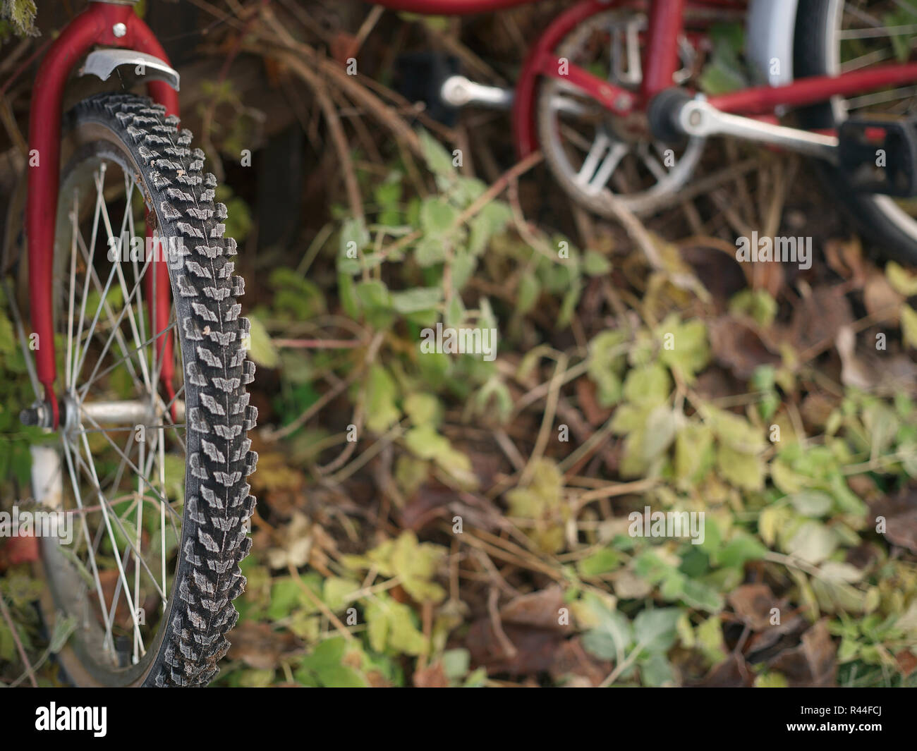 Ice on a bicycle tire Stock Photo - Alamy