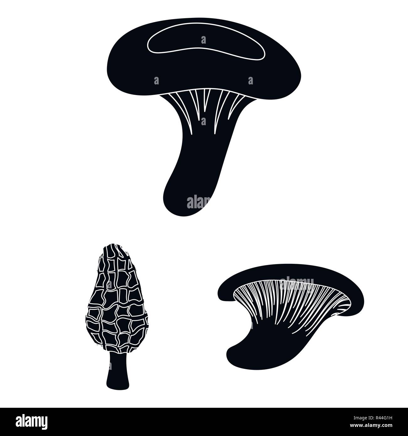 Poisonous and edible mushroom black icons in set collection for design ...