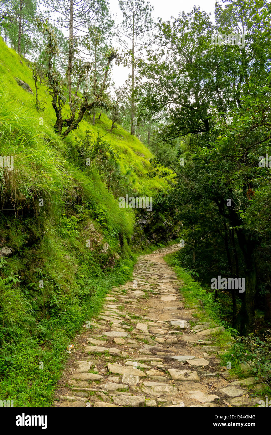 Bhalu Gaad Waterfall hike Stock Photo - Alamy