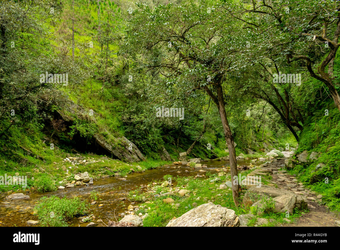 Bhalu Gaad Waterfall hike Stock Photo - Alamy