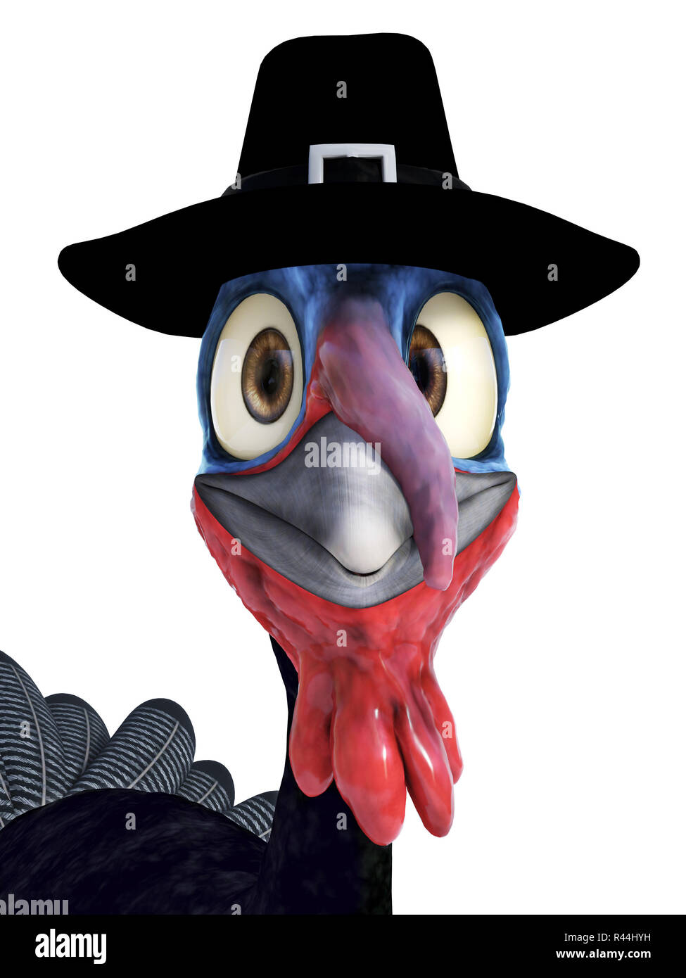 Thanksgiving turkey wearing pilgrim hat hi-res stock photography and ...