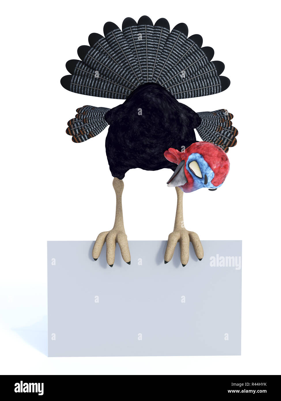 Silly toon turkey sitting on blank sign Stock Photo - Alamy