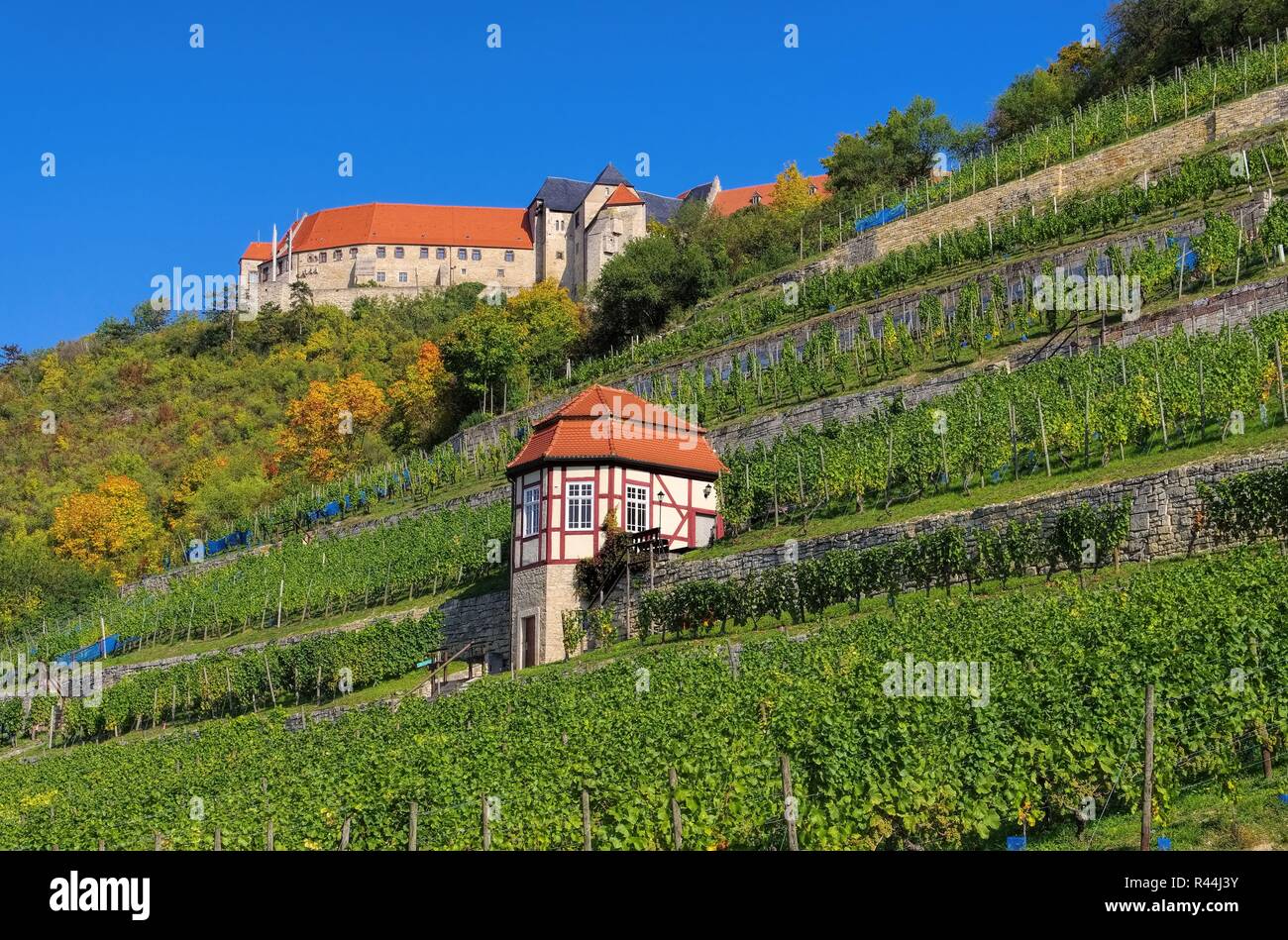 freyburg castle - freyburg castle 03 Stock Photo - Alamy
