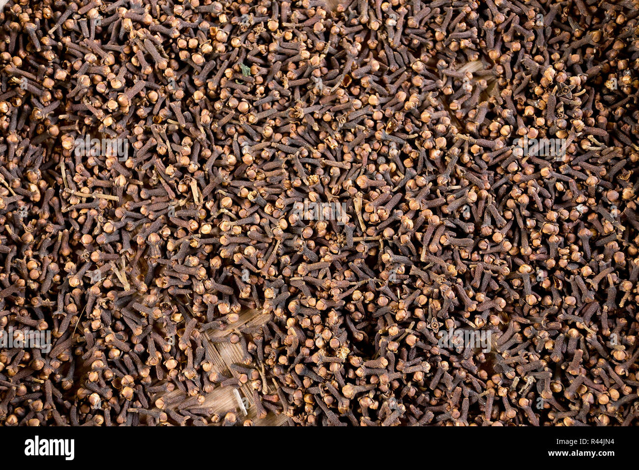 freshly dryed clove spice Stock Photo - Alamy