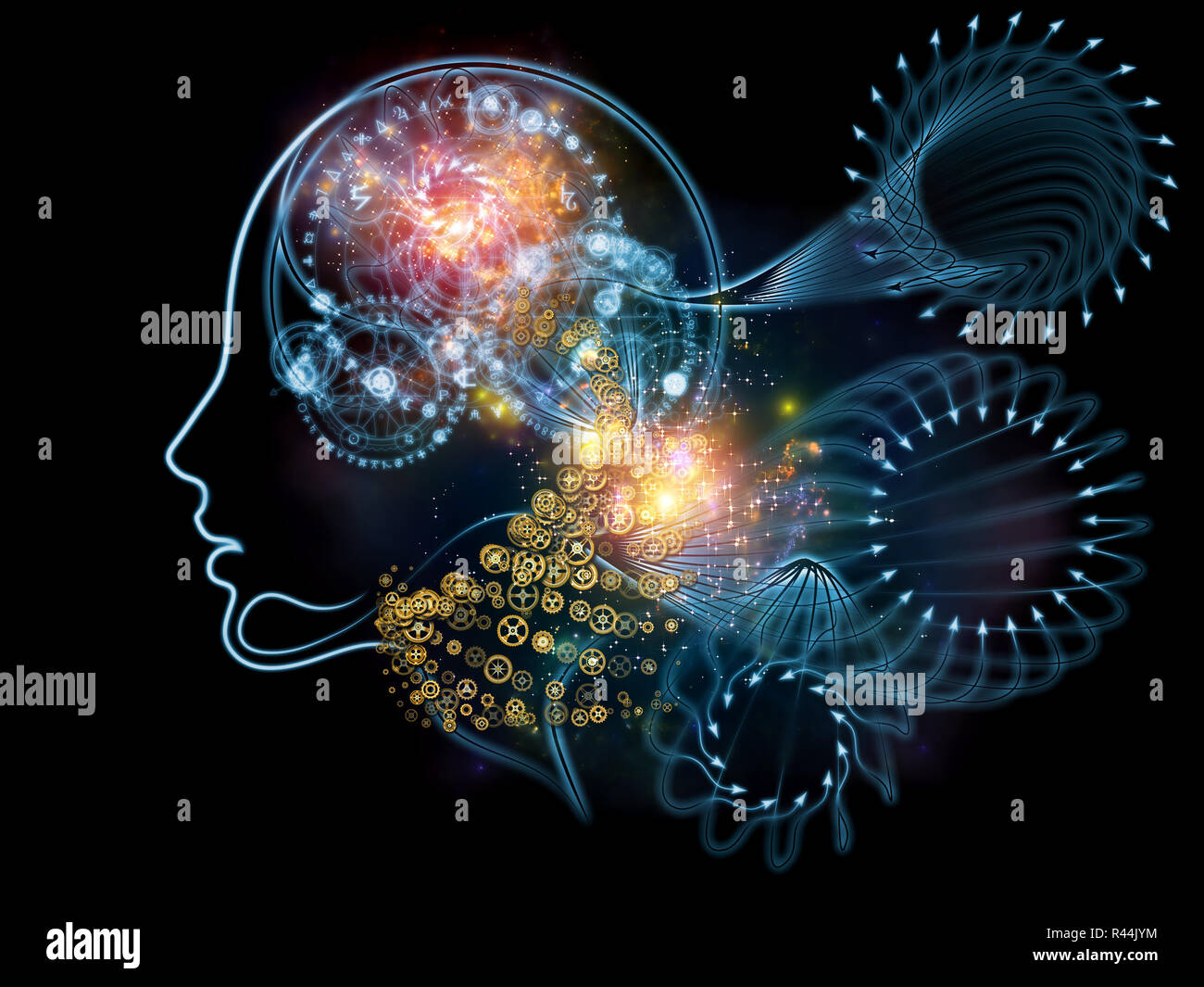 Face orbits hi-res stock photography and images - Alamy