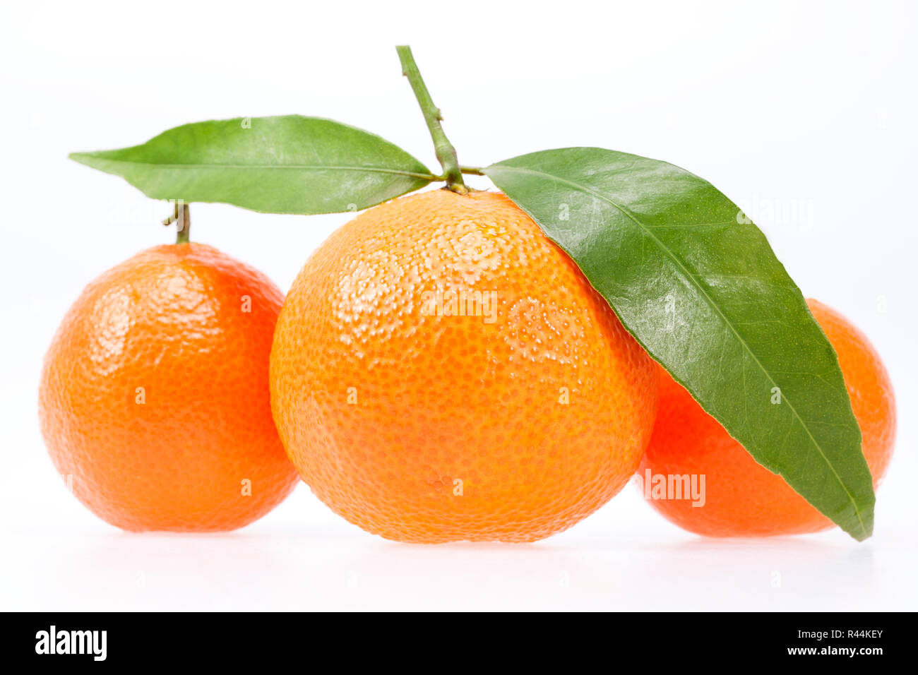 some fruits of clementine isolated on white background Stock Photo - Alamy