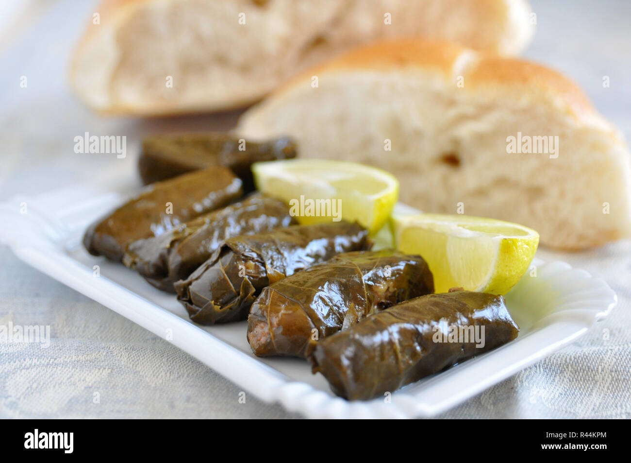 Green vine wraps hi-res stock photography and images - Alamy