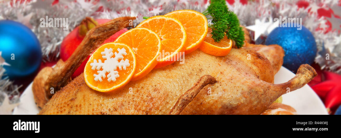 Orange leg bird hi-res stock photography and images - Alamy