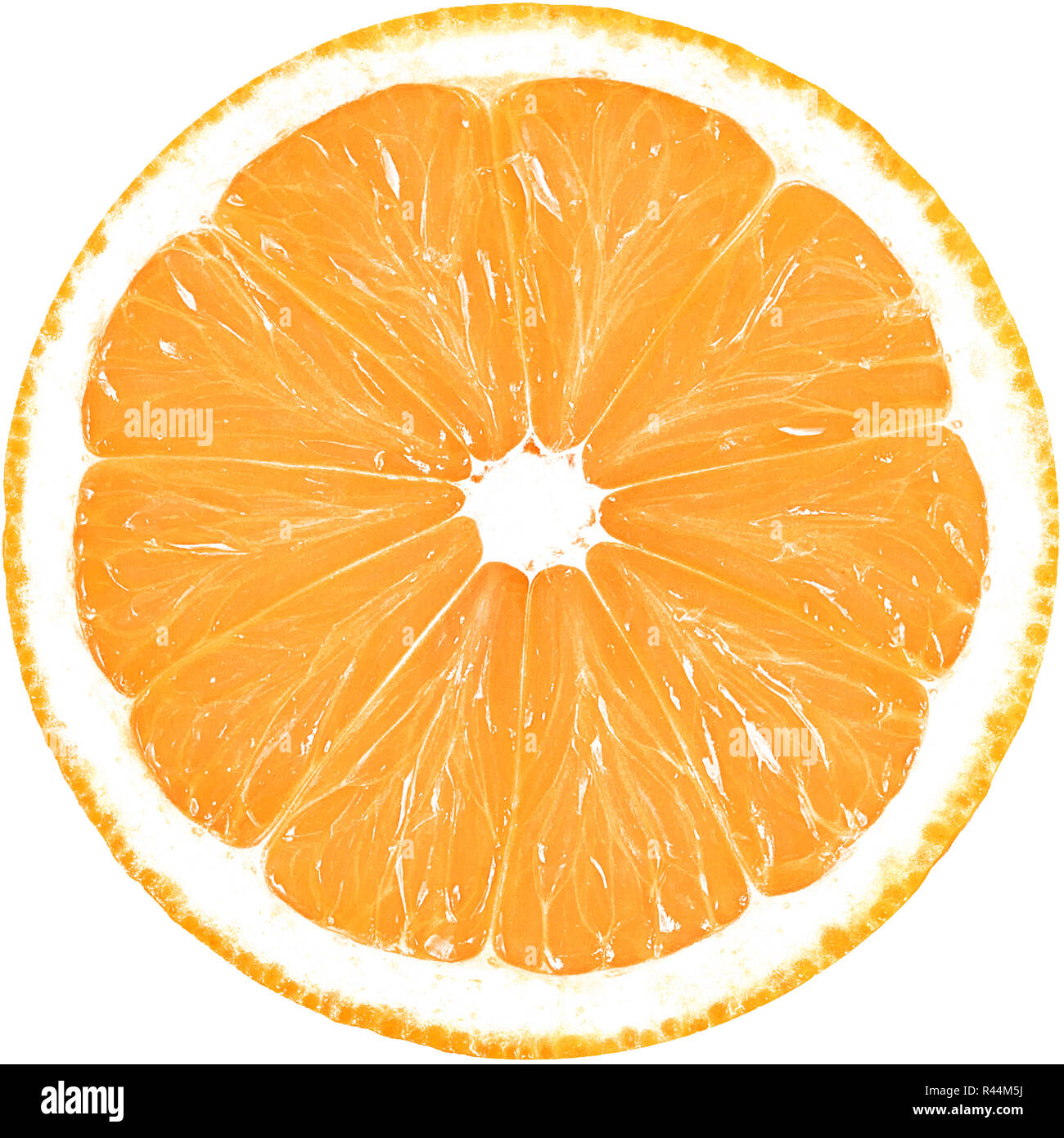 Orange Fruit Slice
