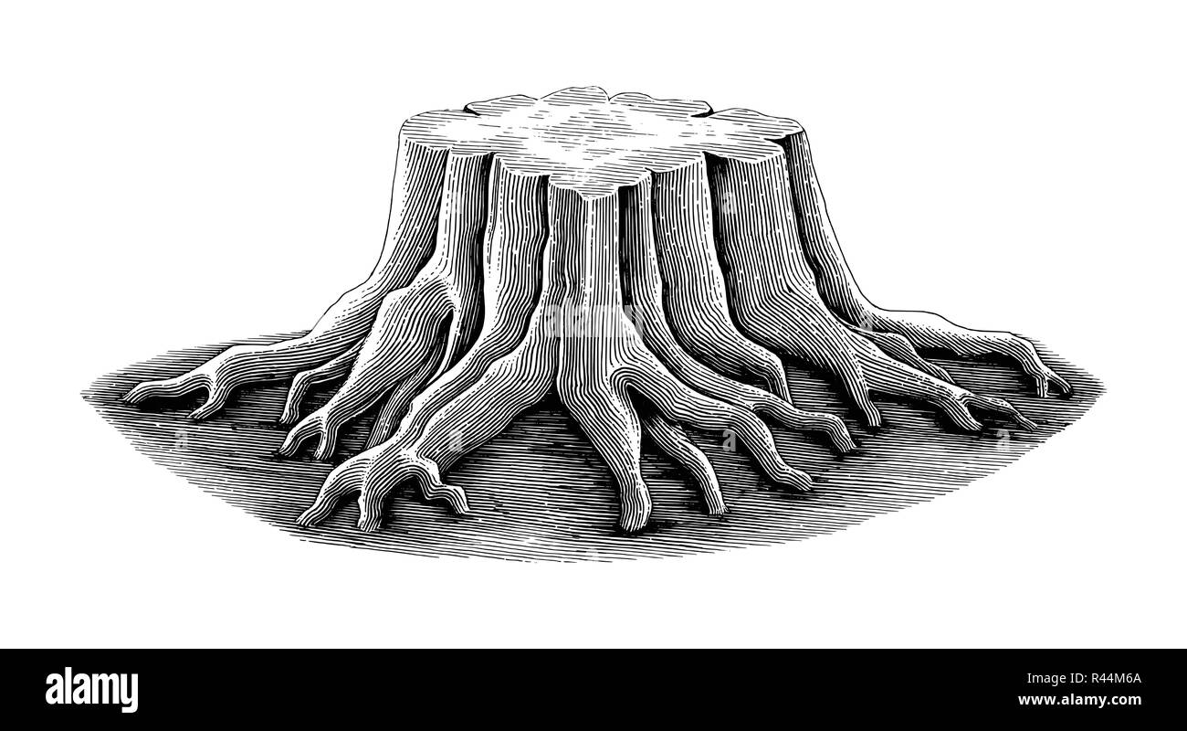 Tree Roots Pencil Drawing