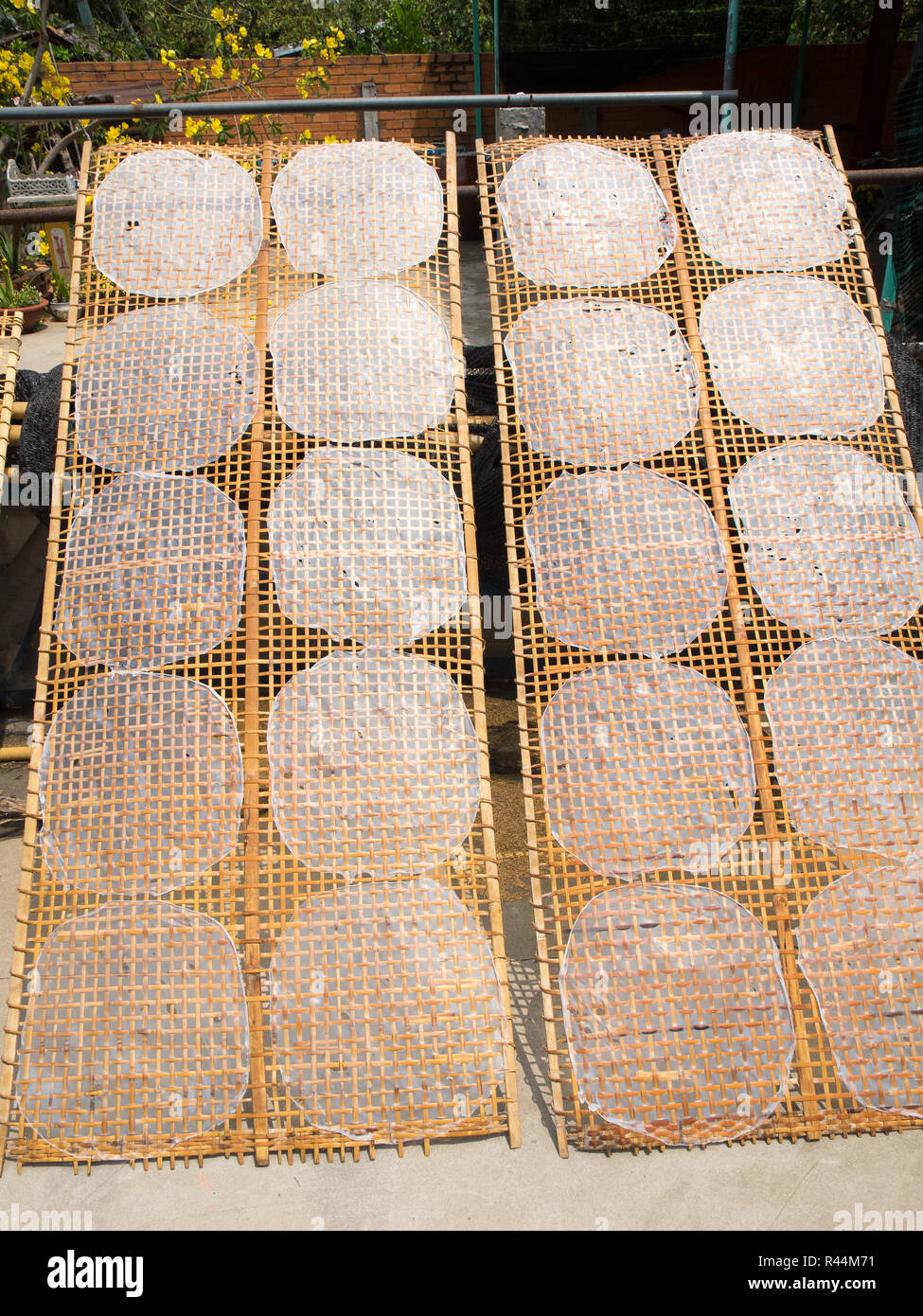 Drying of bamboo paper hi-res stock photography and images - Alamy