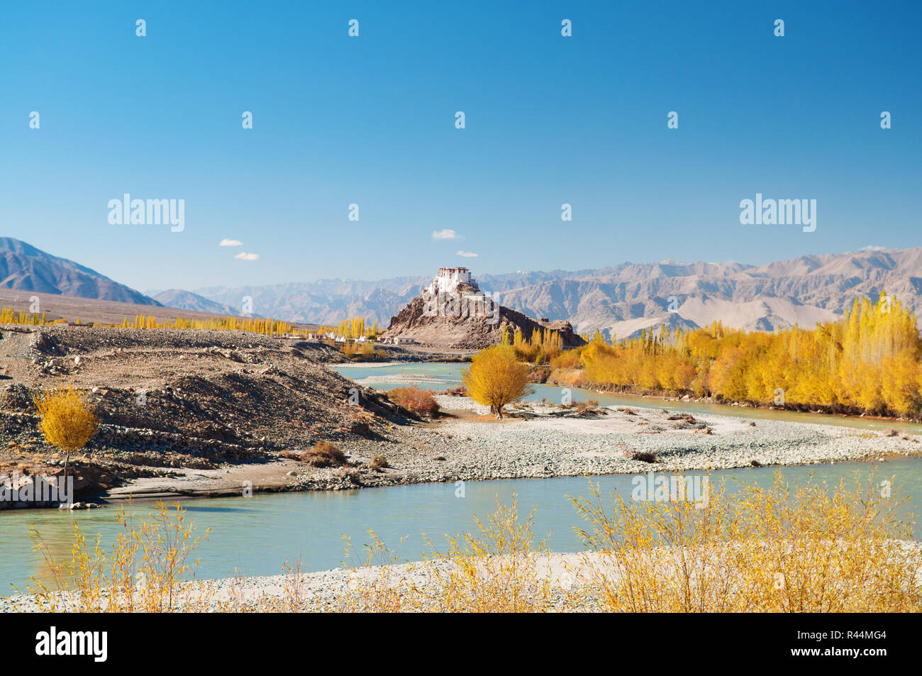 Stakna monastery,Leh, Ladakh, Jammu and Kashmir, India Stock Photo - Alamy