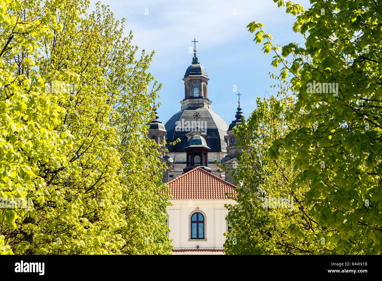 Bouncing through trees hi-res stock photography and images - Alamy