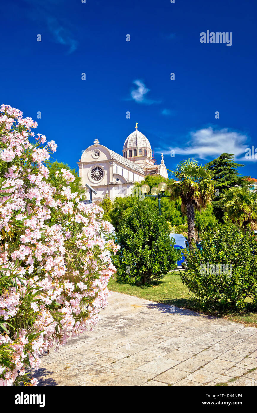 Spring flowers vertical hi-res stock photography and images - Alamy