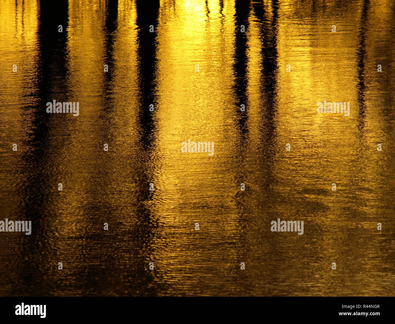 on golden river Stock Photo - Alamy