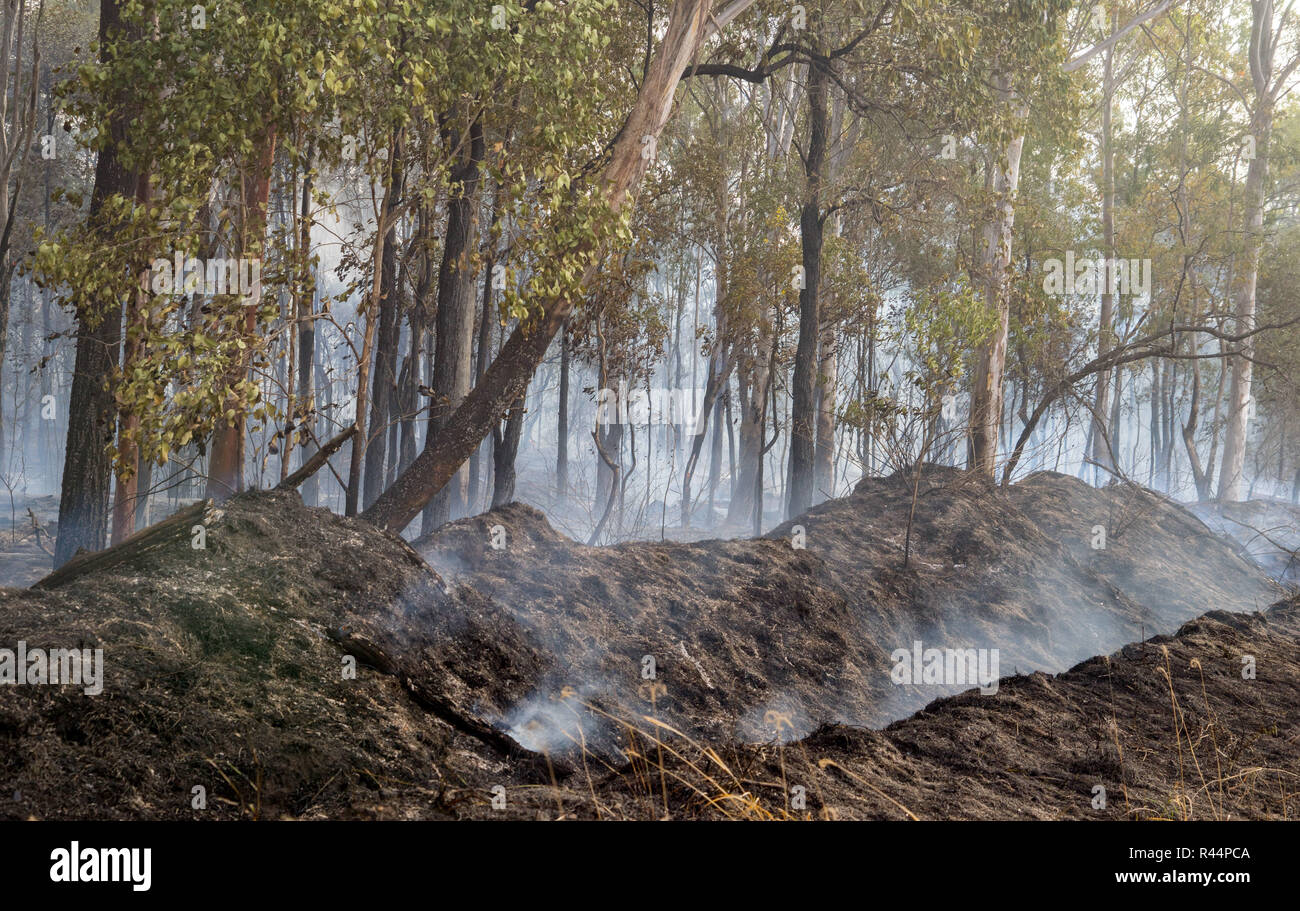 Australian bush land hi-res stock photography and images - Alamy