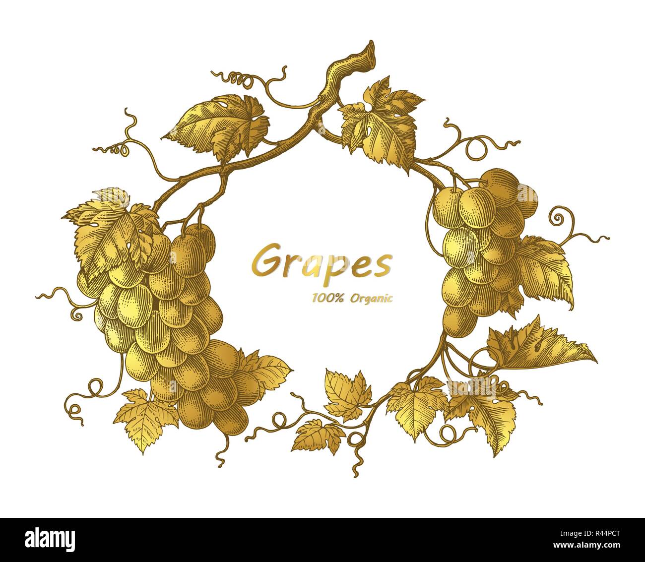 Vintage frame label engraved Cut Out Stock Images & Pictures - Alamy