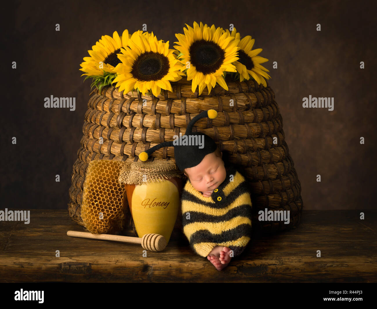 Baby Bee Stock Photos & Baby Bee Stock Images - Alamy