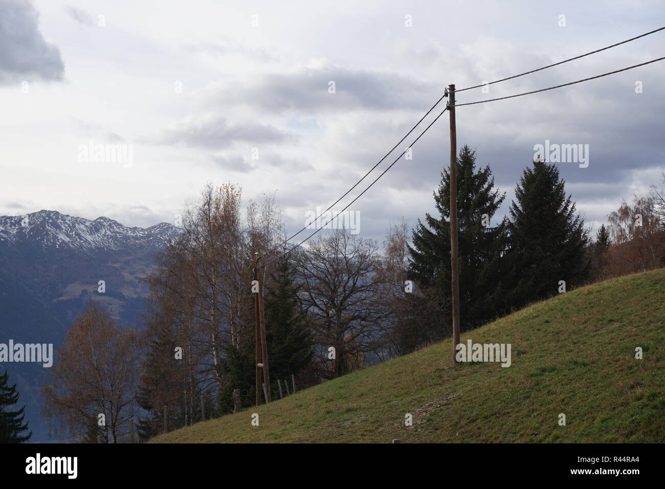 power line,wooden pole,wooden poles,low voltage,overhead line Stock ...