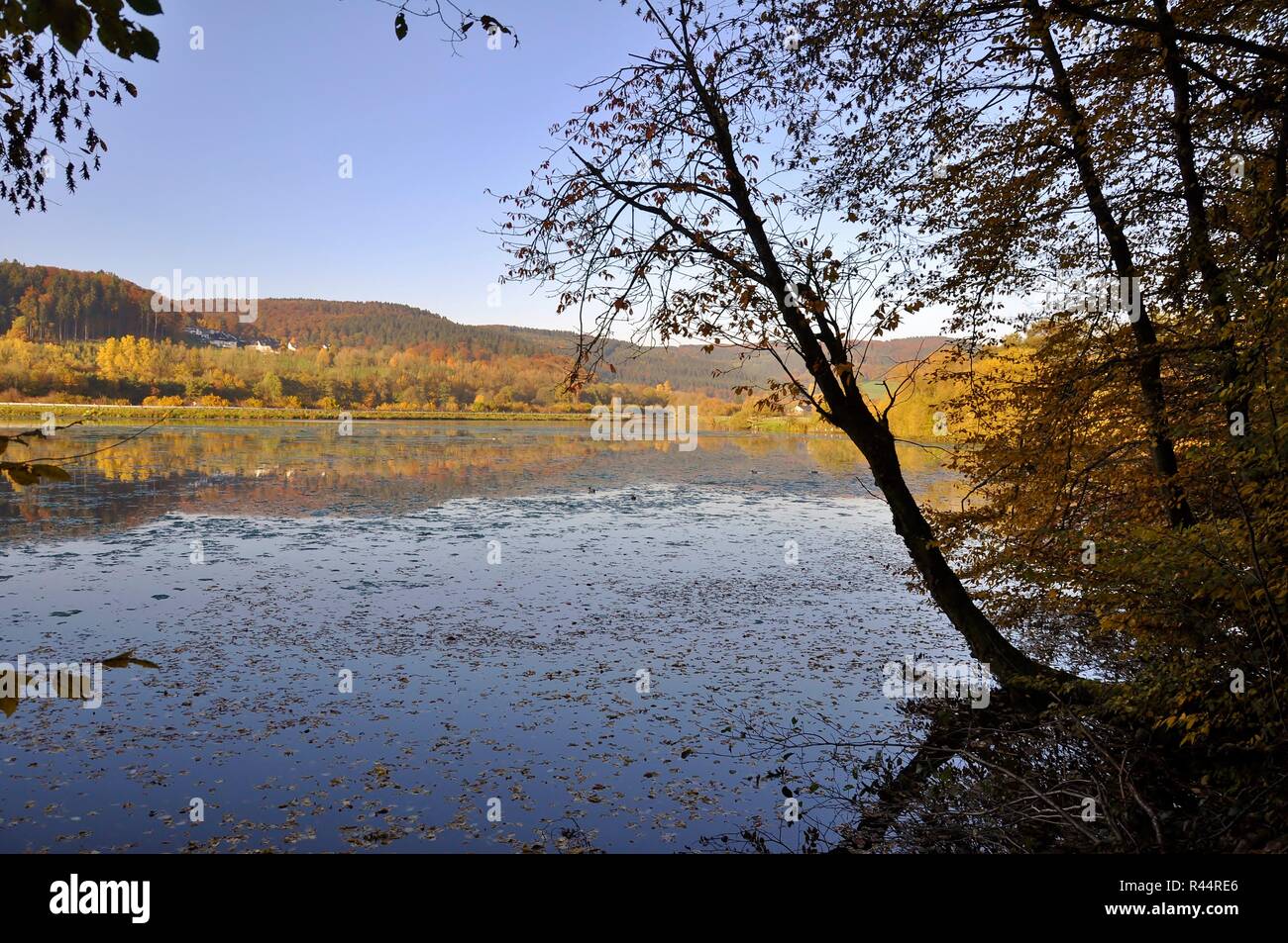 autumn on the water Stock Photo - Alamy