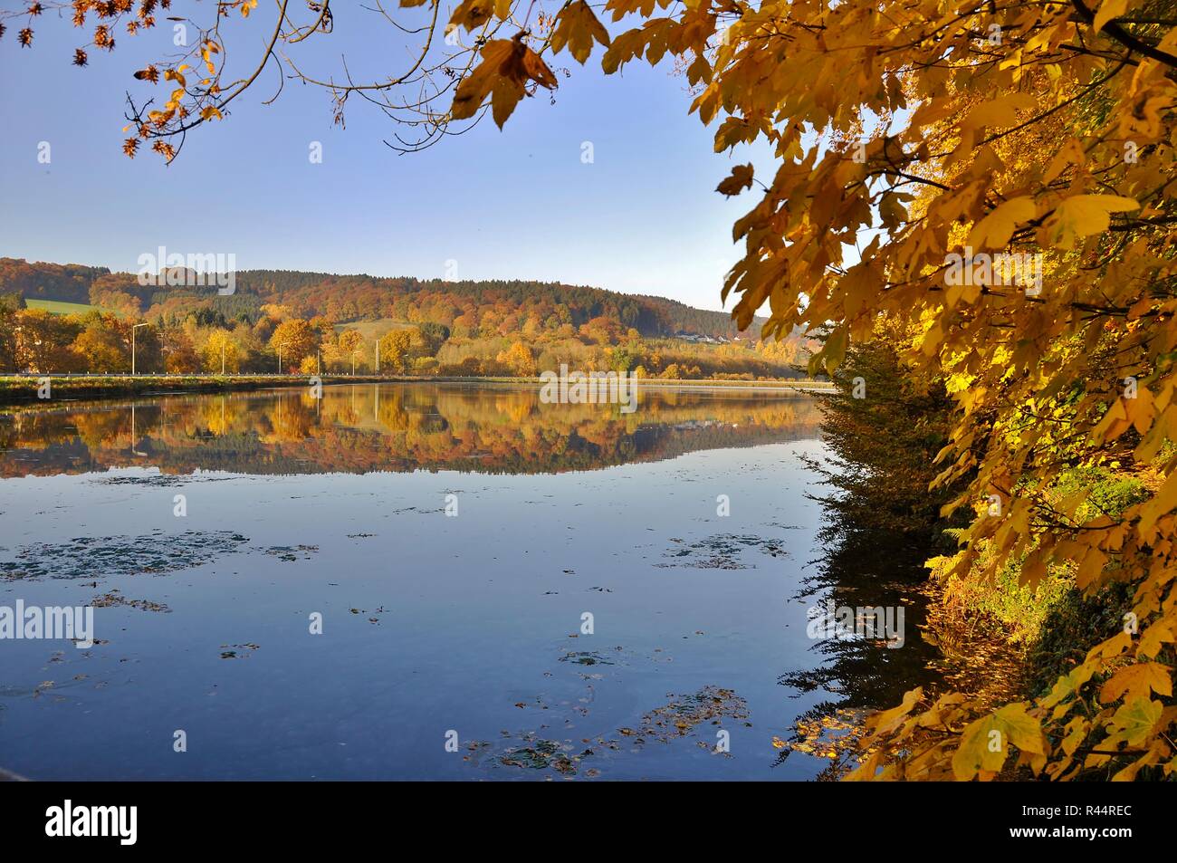 autumn on the water Stock Photo - Alamy