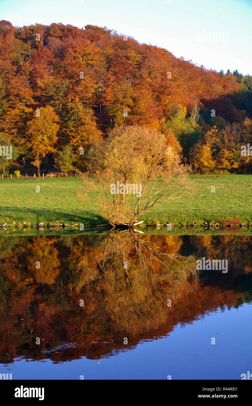 autumn on the water Stock Photo - Alamy