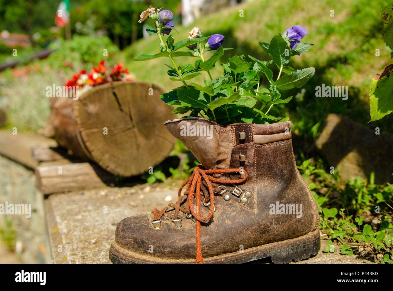 An old boot was reused as a planter. This new use gives new life to the ...