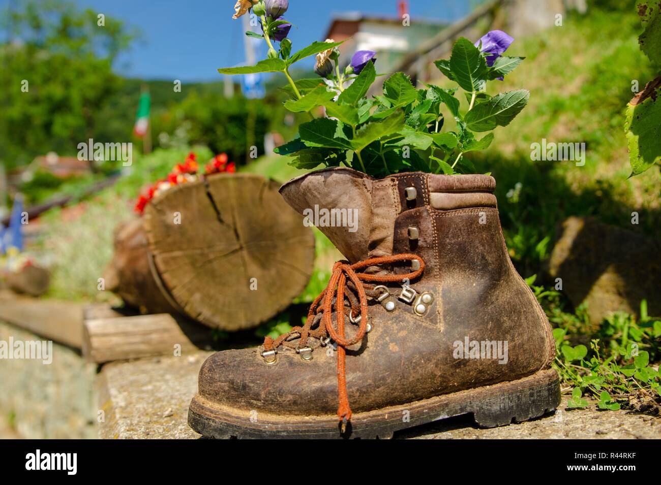 An old boot was reused as a planter. This new use gives new life to the ...