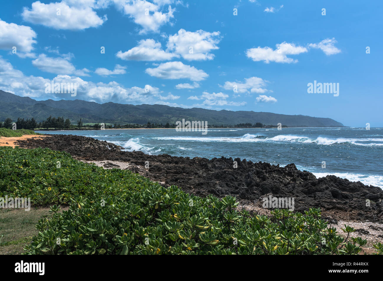 Waialua hi-res stock photography and images - Alamy