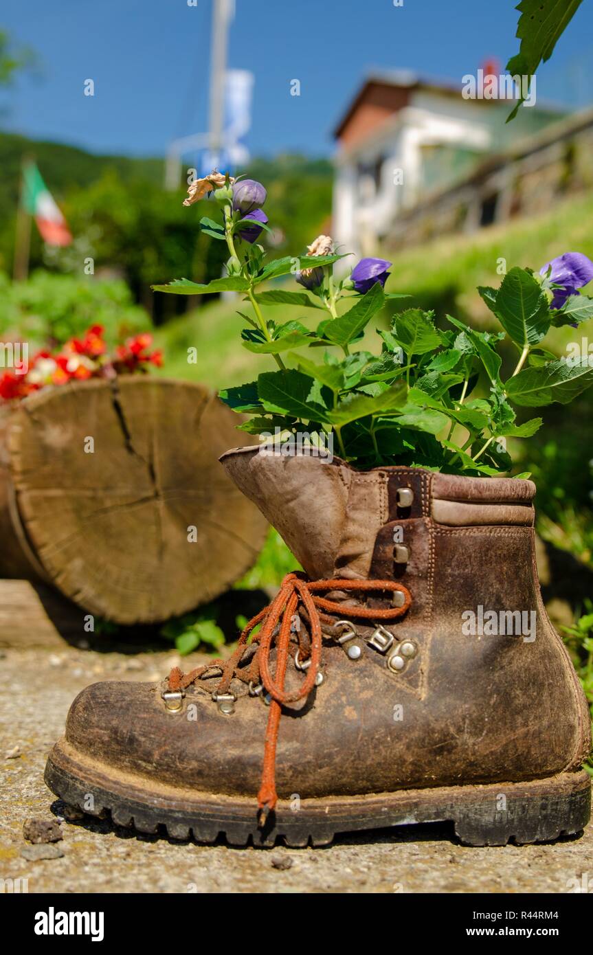 An old boot was reused as a planter. This new use gives new life to the ...