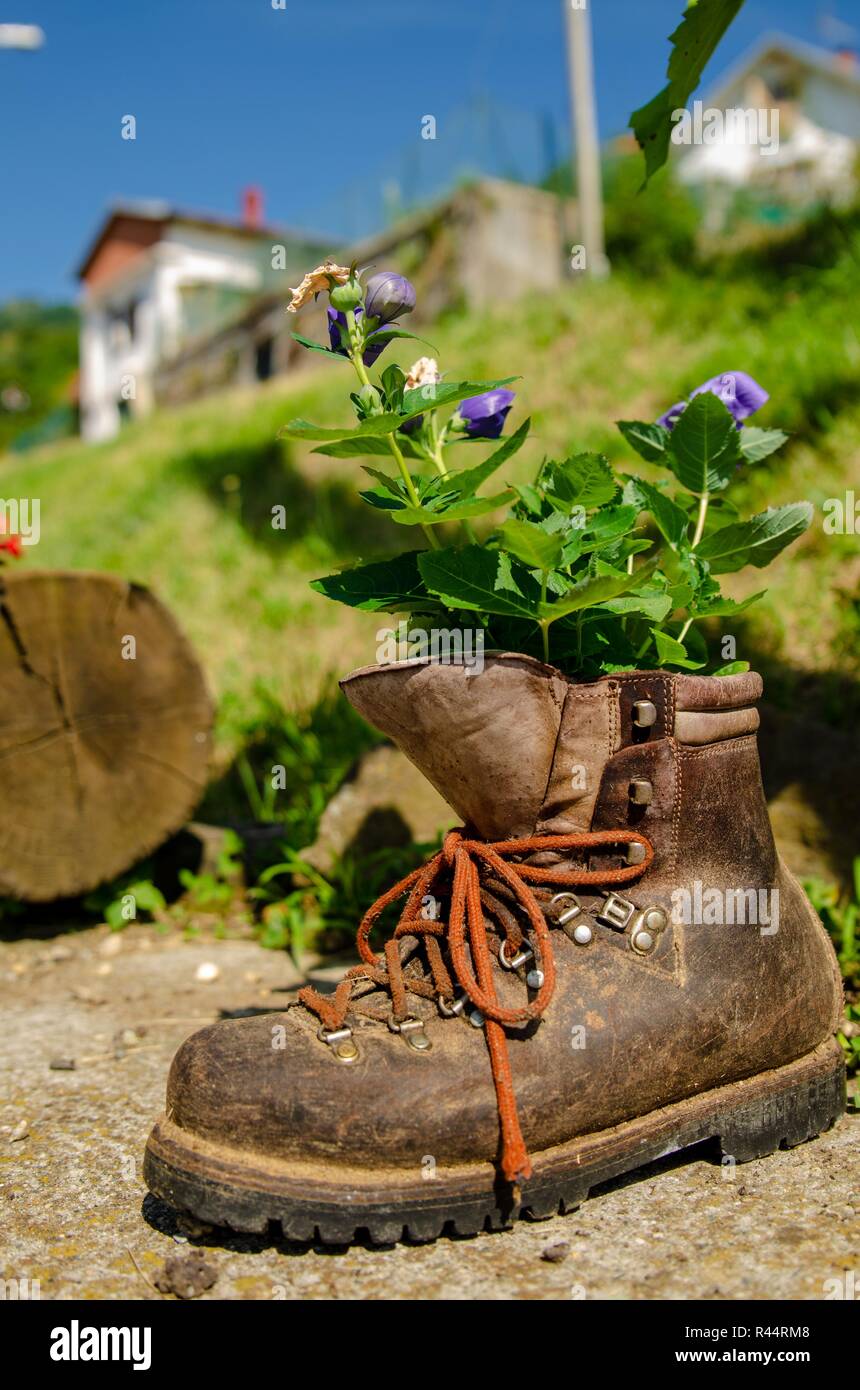 An old boot was reused as a planter. This new use gives new life to the ...