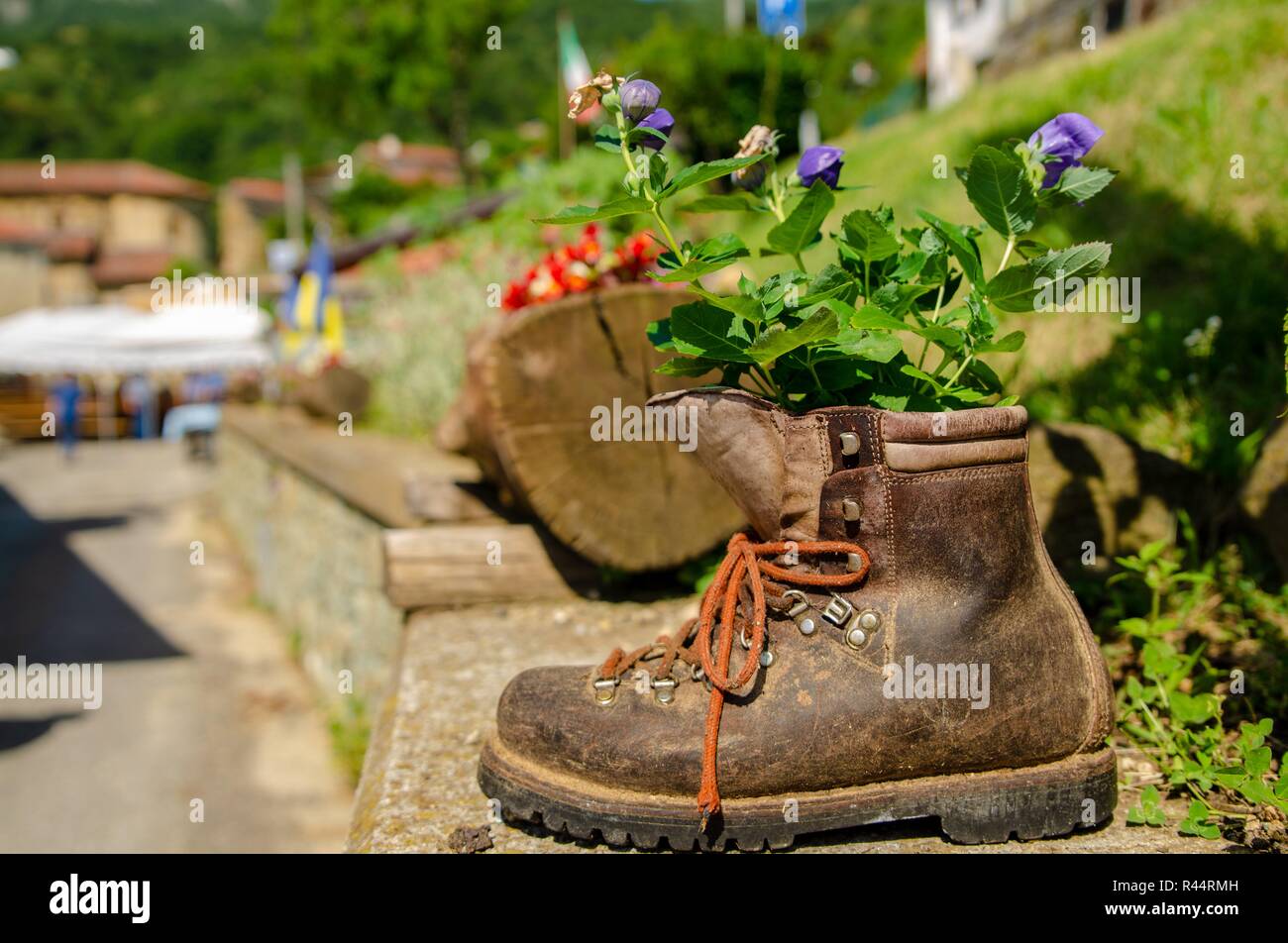 An old boot was reused as a planter. This new use gives new life to the ...