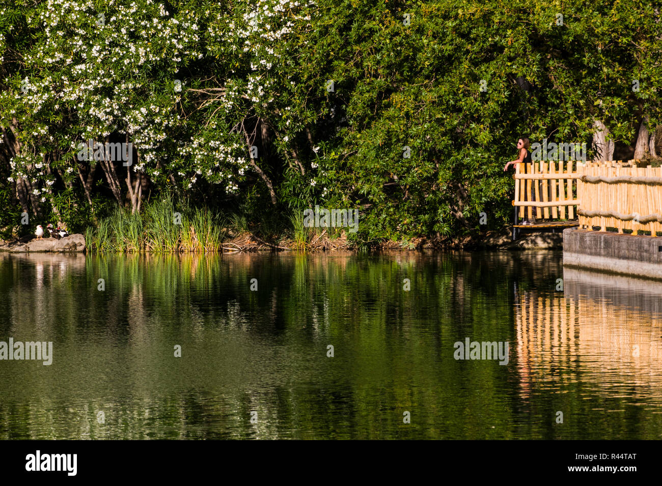 europe, greece, creta, heraklion, region, village, zaros, lake, votomou ...