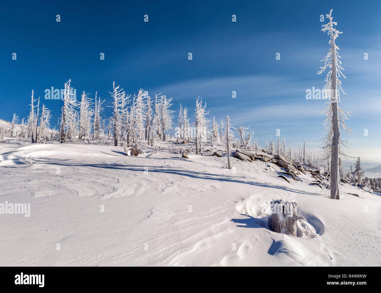 Dead mountain siberia hi-res stock photography and images - Alamy