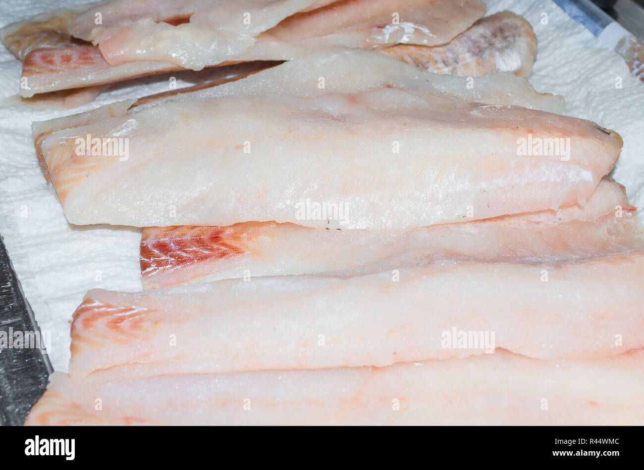 Seelachsfilet hi-res stock photography and images - Alamy