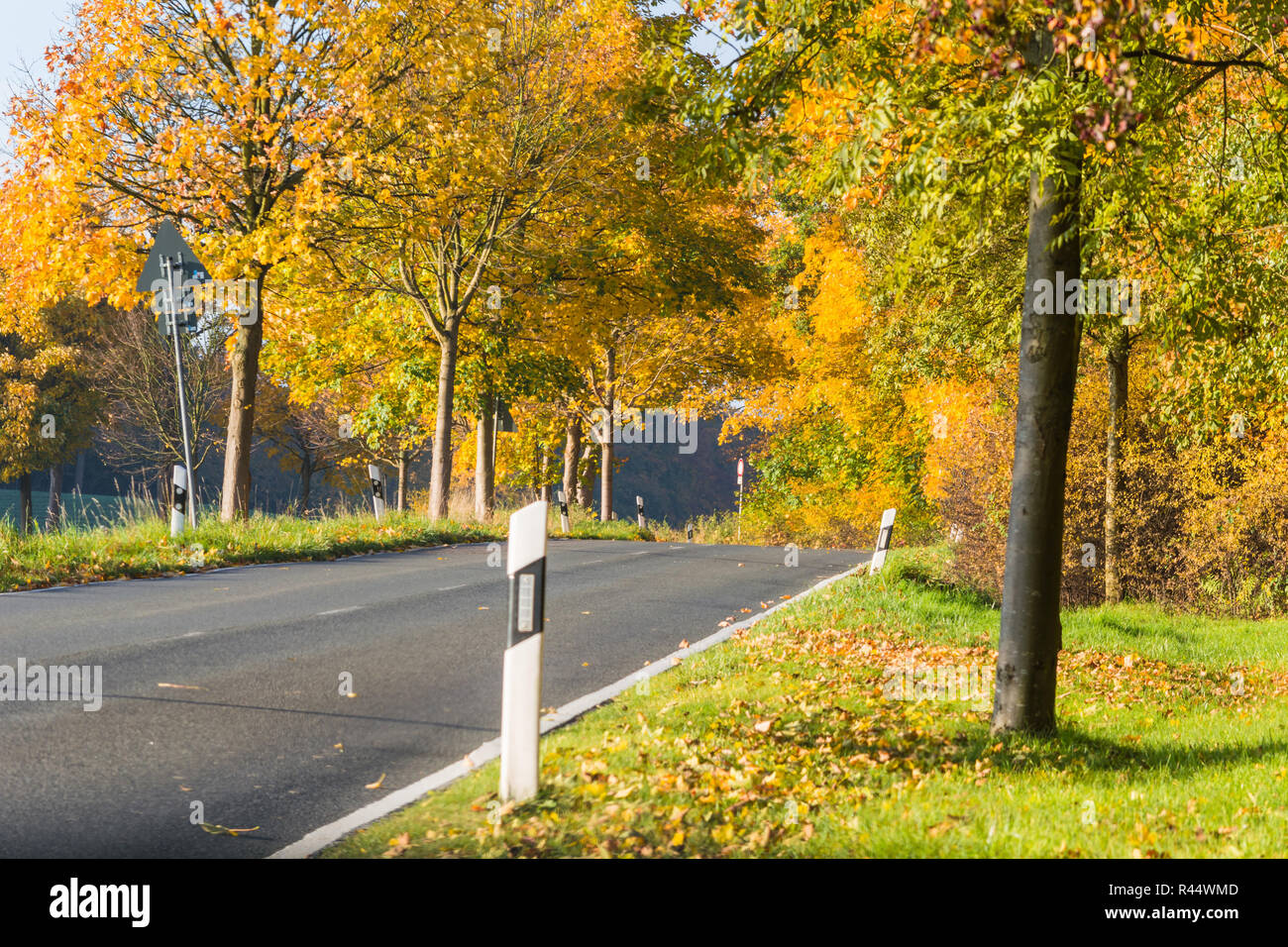 country road in autumn Stock Photo - Alamy