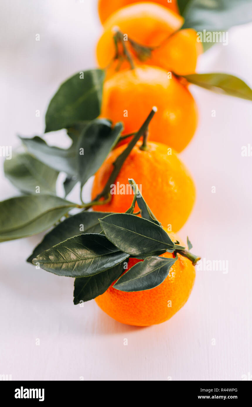 Five tangerines with green on a white background. Ripe orange fresh ...