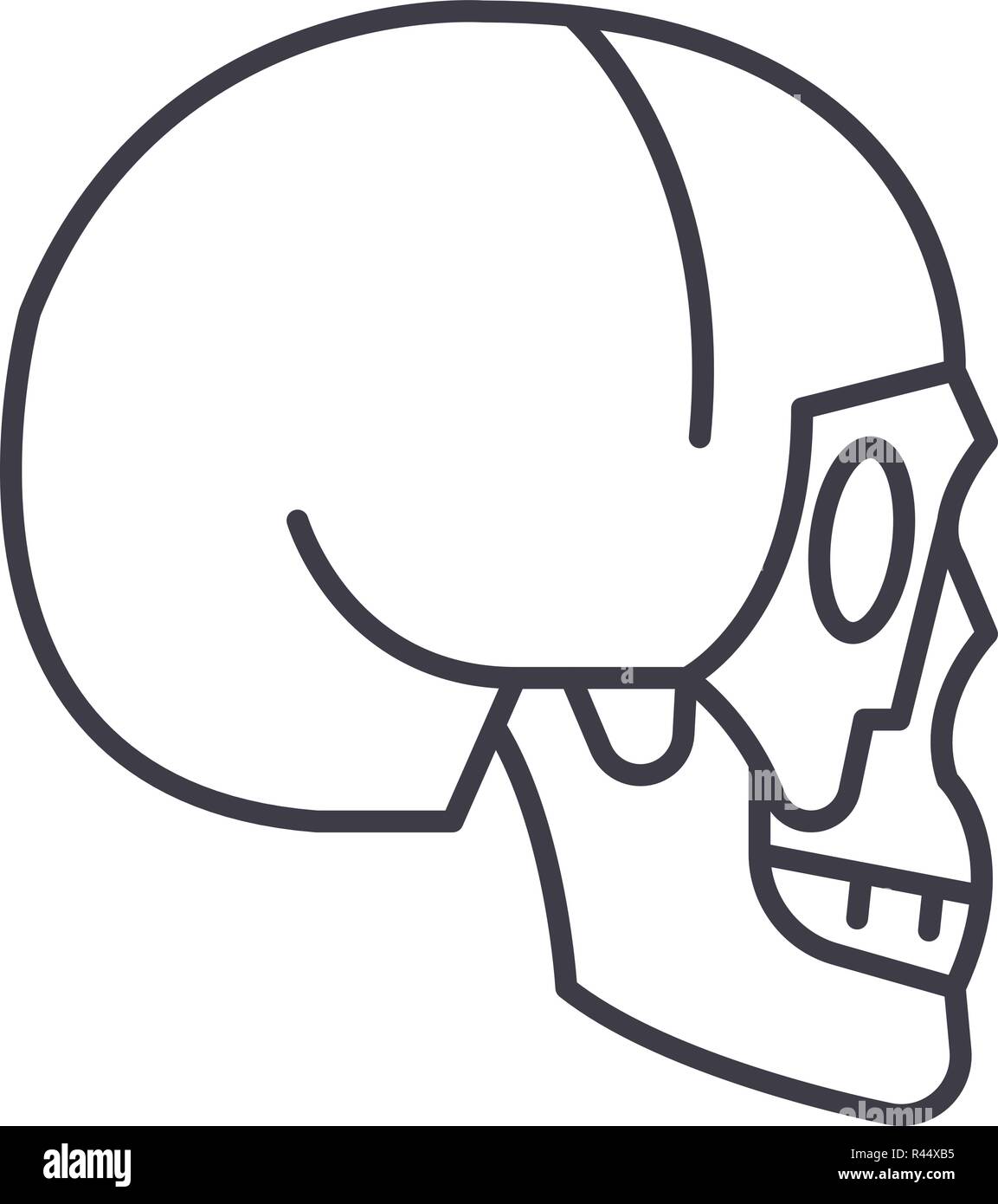 Skull side view line icon concept. Skull side view vector linear ...