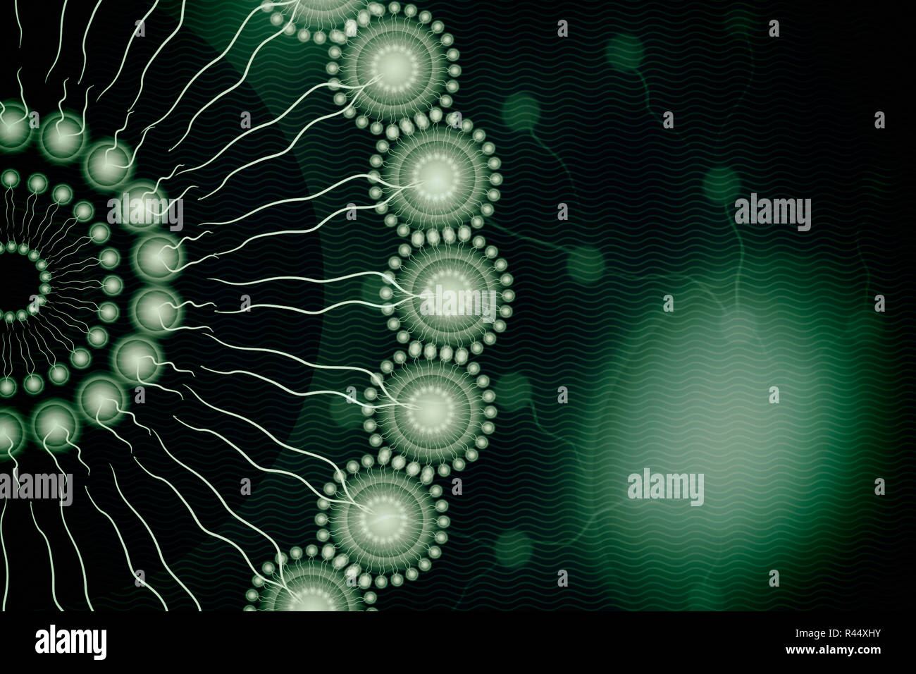 Dendrimers High Resolution Stock Photography and Images - Alamy