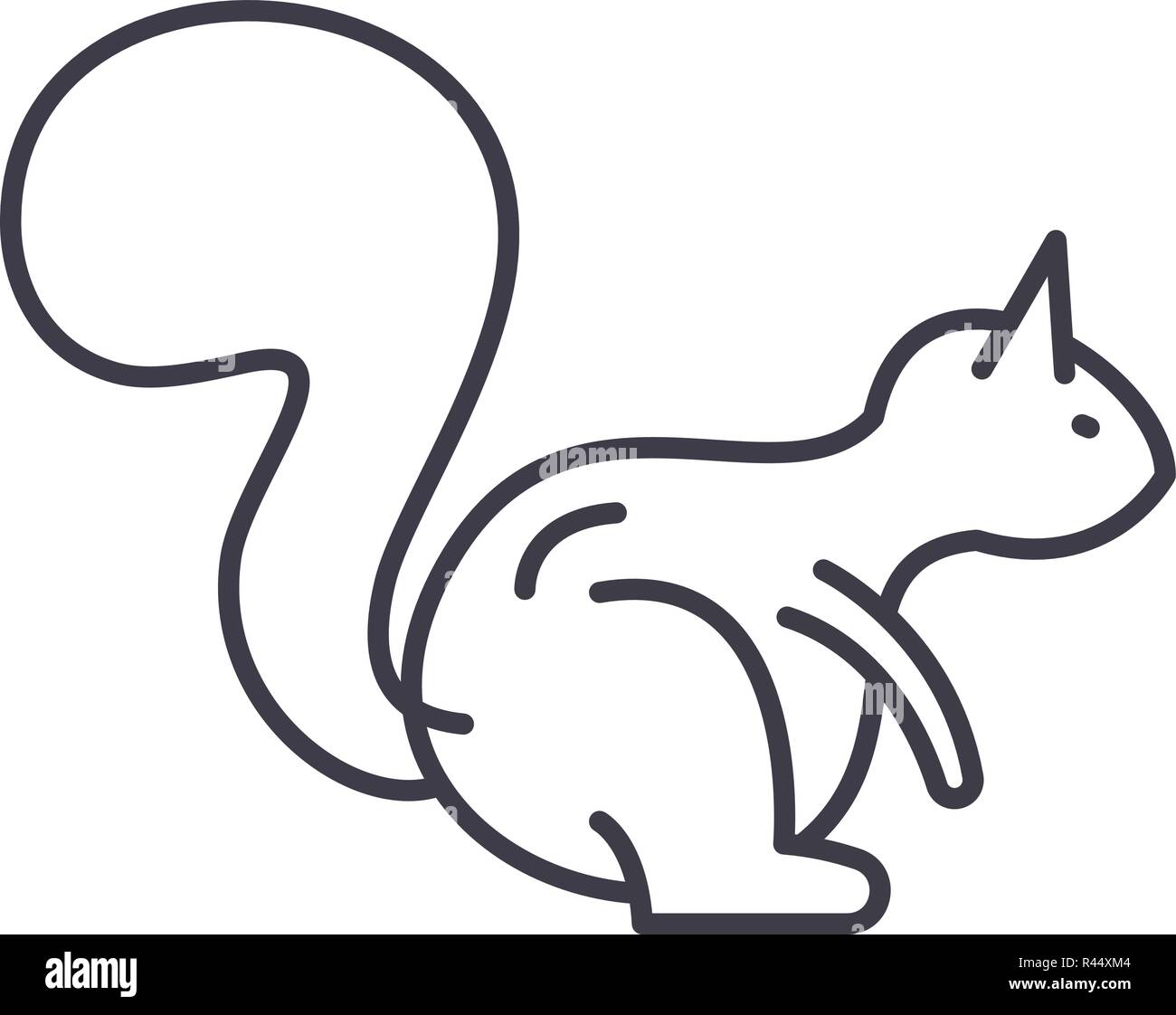 Squirrel Outline Vector