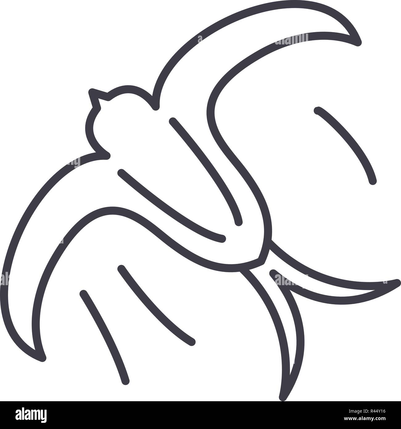 Swallow line icon concept. Swallow vector linear illustration, symbol ...