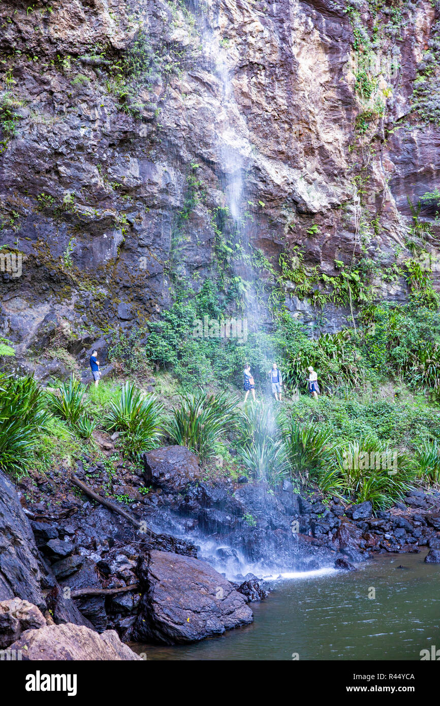 Twin falls waterfalls on the twin falls circuit in Springbrook national ...