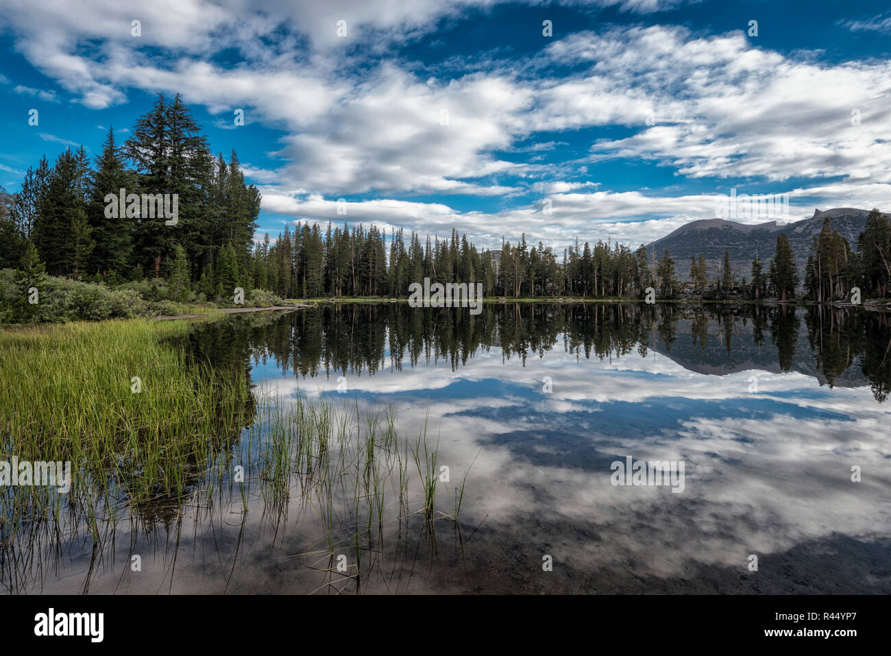Landscape in the Sierra Nevada Mountains Stock Photo - Alamy