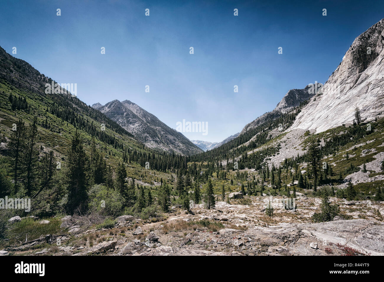 Landscape in the Sierra Nevada Mountains Stock Photo - Alamy
