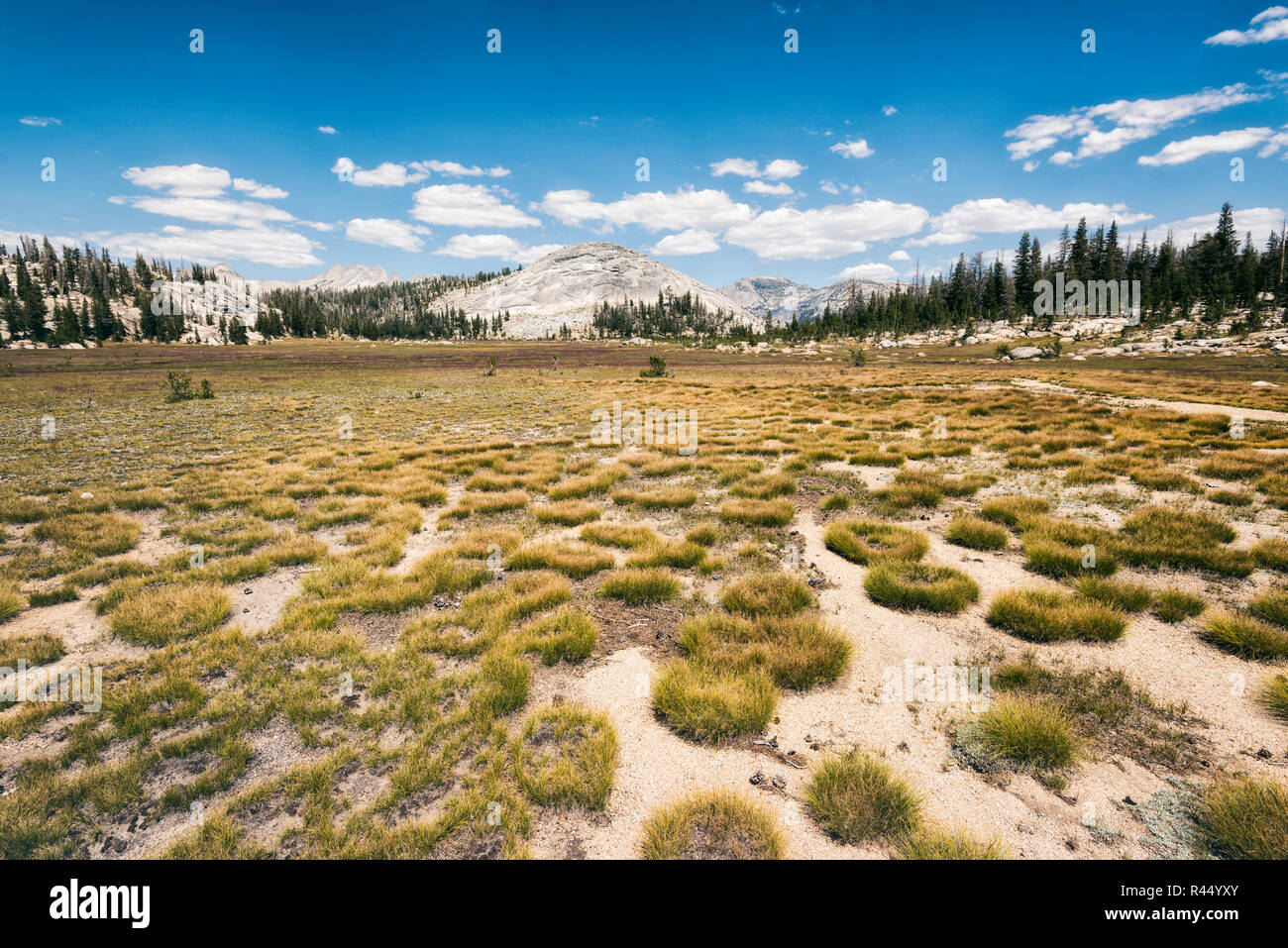 Landscape in the Sierra Nevada Mountains Stock Photo - Alamy