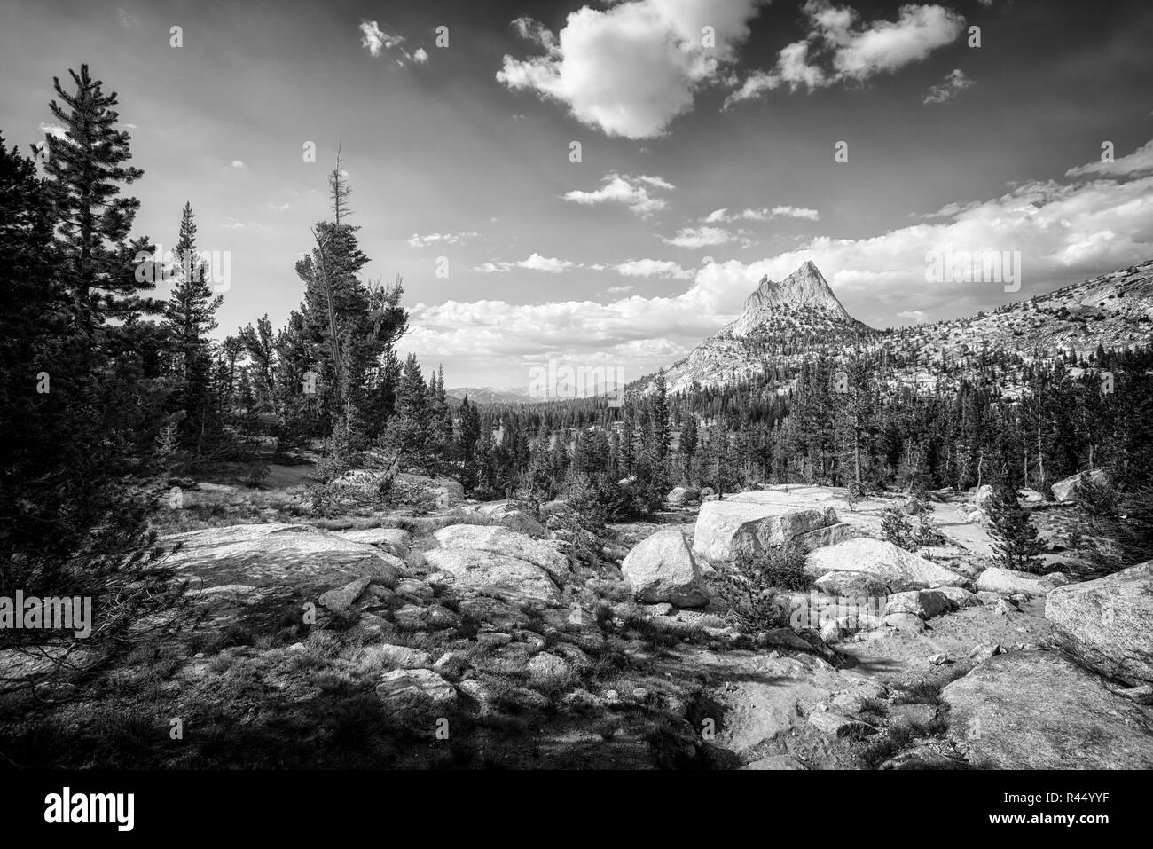 Landscape in the Sierra Nevada Mountains Stock Photo - Alamy