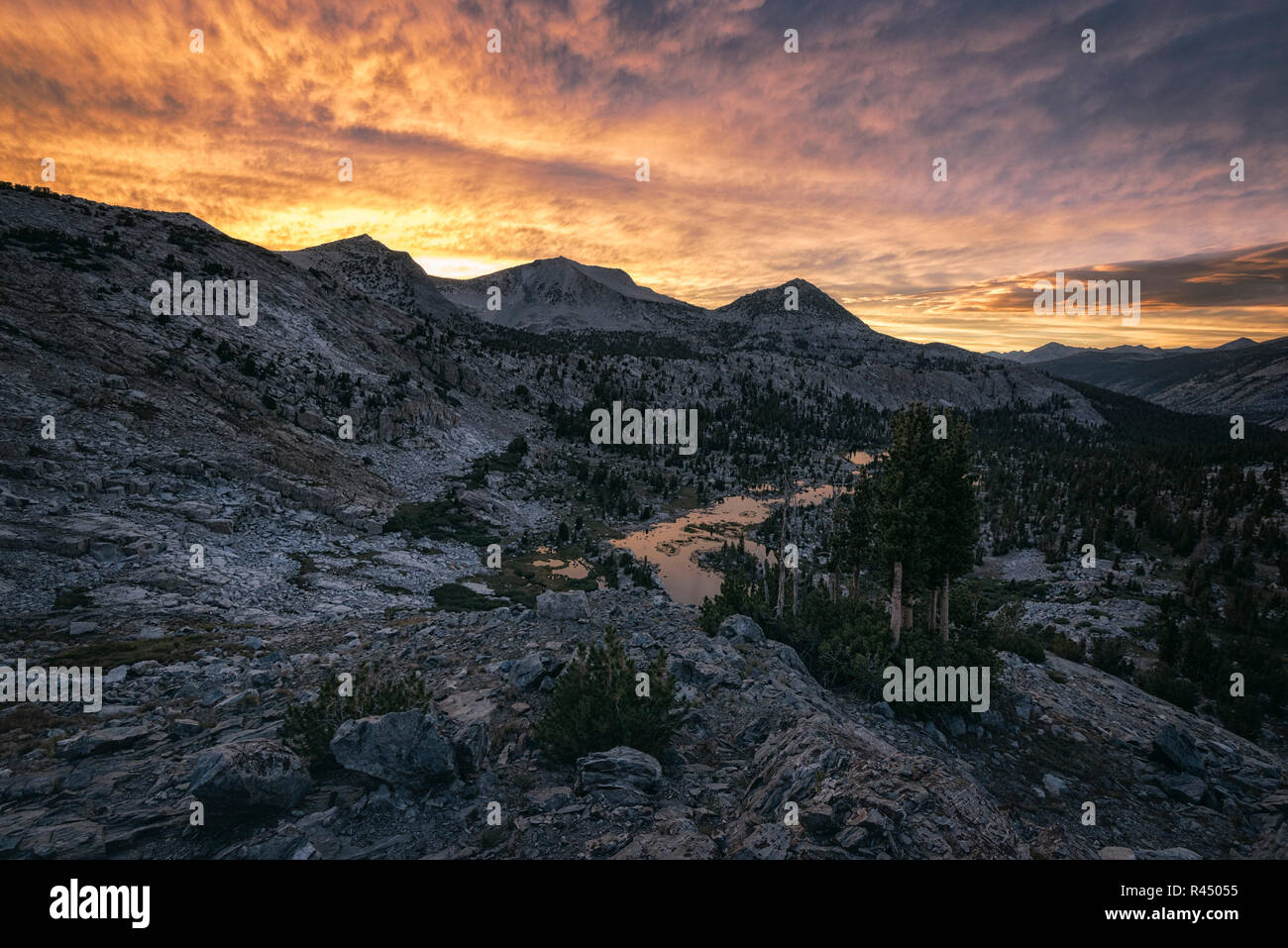 Landscape in the Sierra Nevada Mountains Stock Photo - Alamy